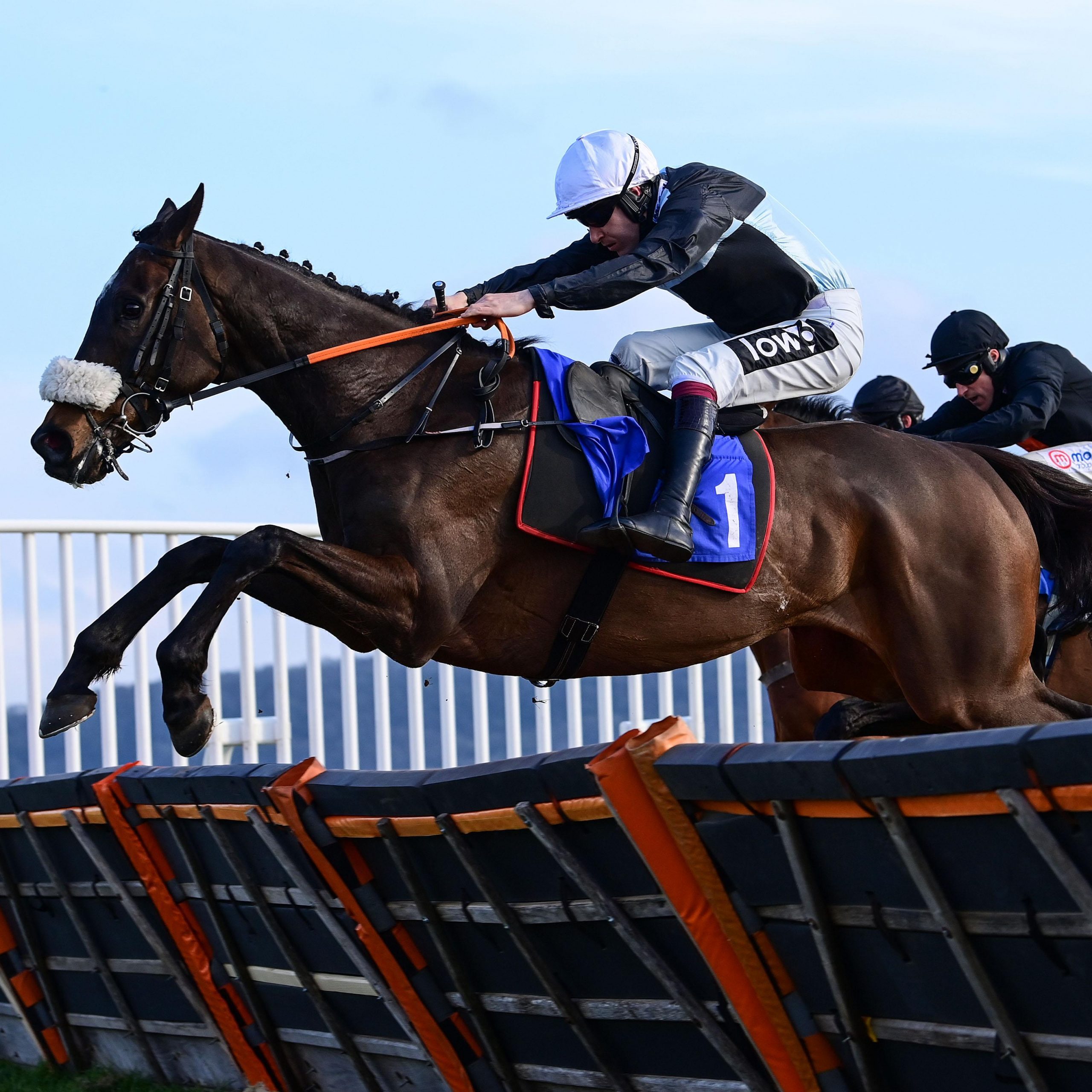 Olly Murphy Racing | Racehorse Trainer, Warren Chase Stables