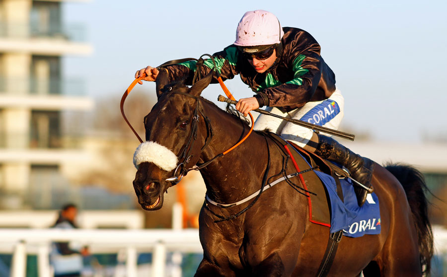 Olly Murphy | Olly Murphy Racing